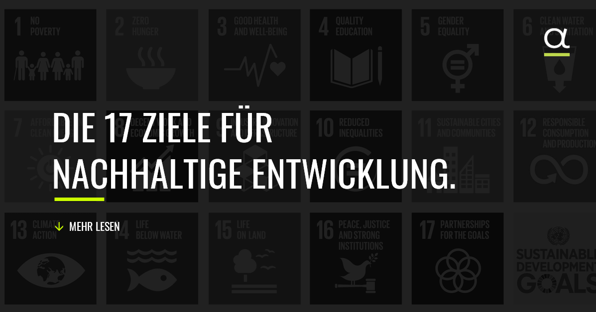 Was sind die 17 Ziele nachhaltiger Entwicklung? | Intalcon